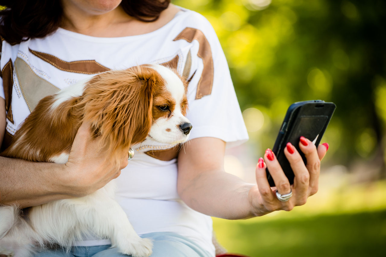 Your Pet's Medical Records in the Palm of Your Hand with VitusVet