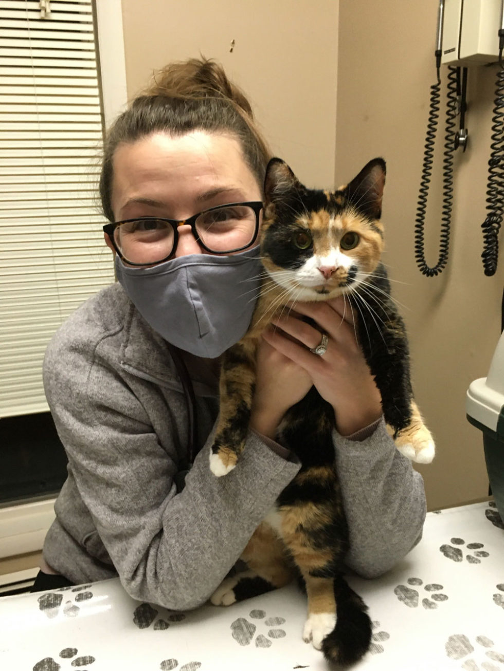Feline Friendly at Lake Road Animal Hospital - Horseheads, NY, 14845